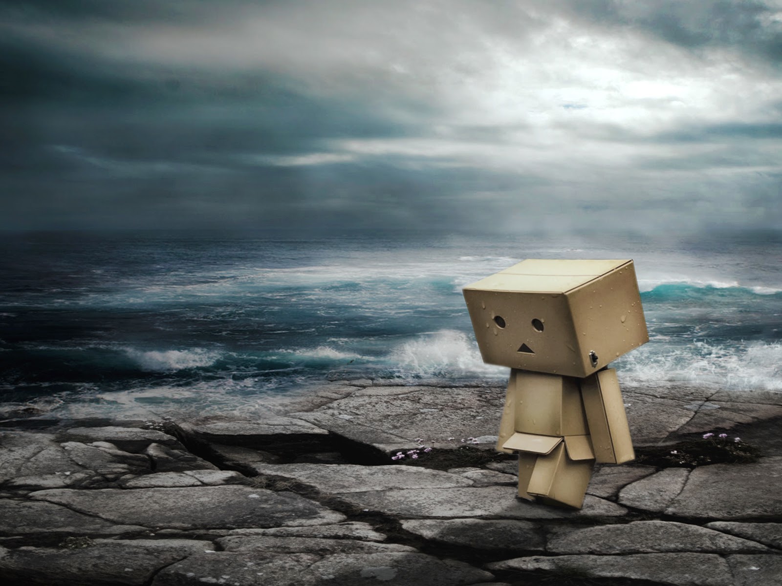 Danbo Galau