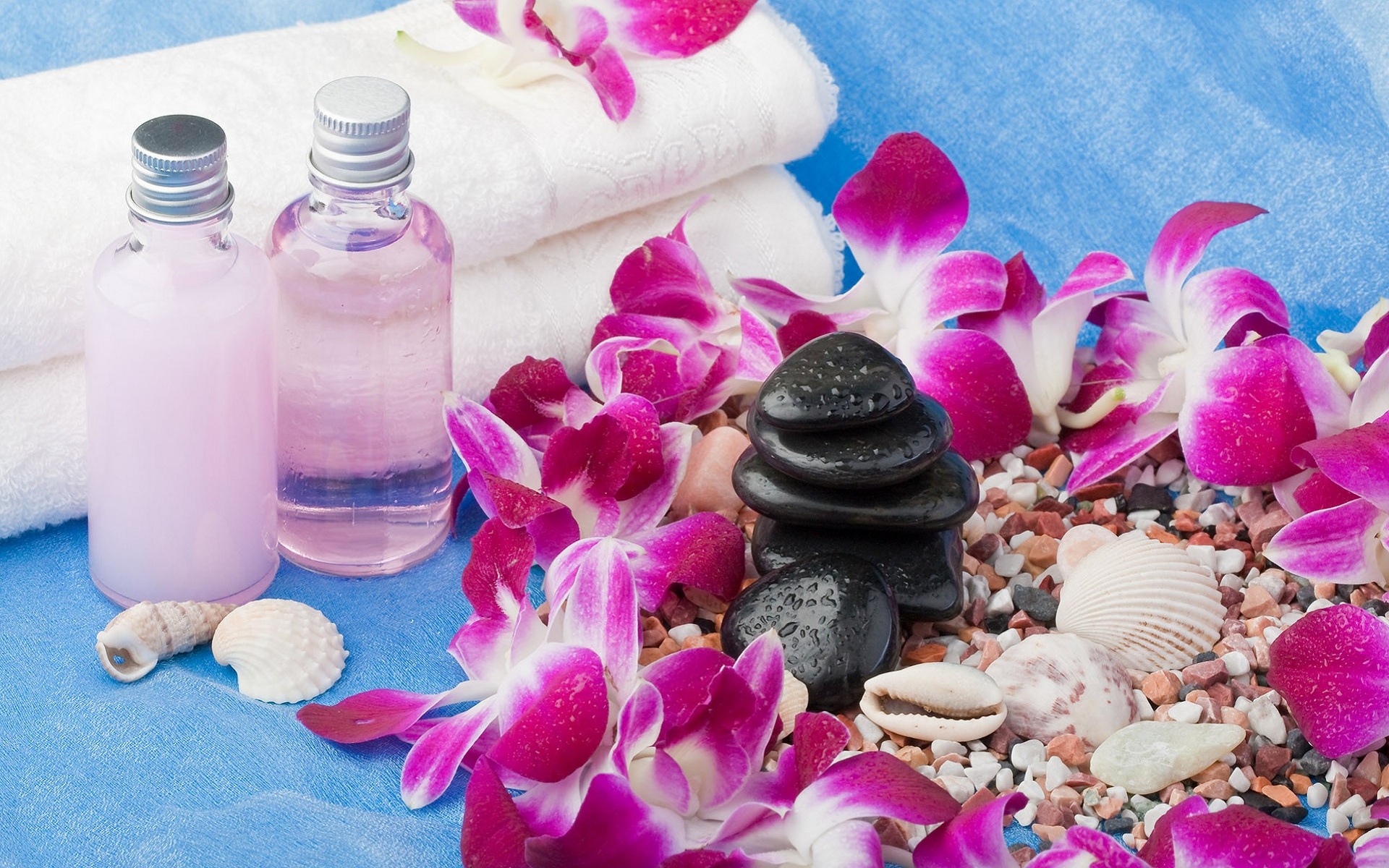 carta da parati spa,rosa,prodotto,viola,viola,chiodo (#999128 ...